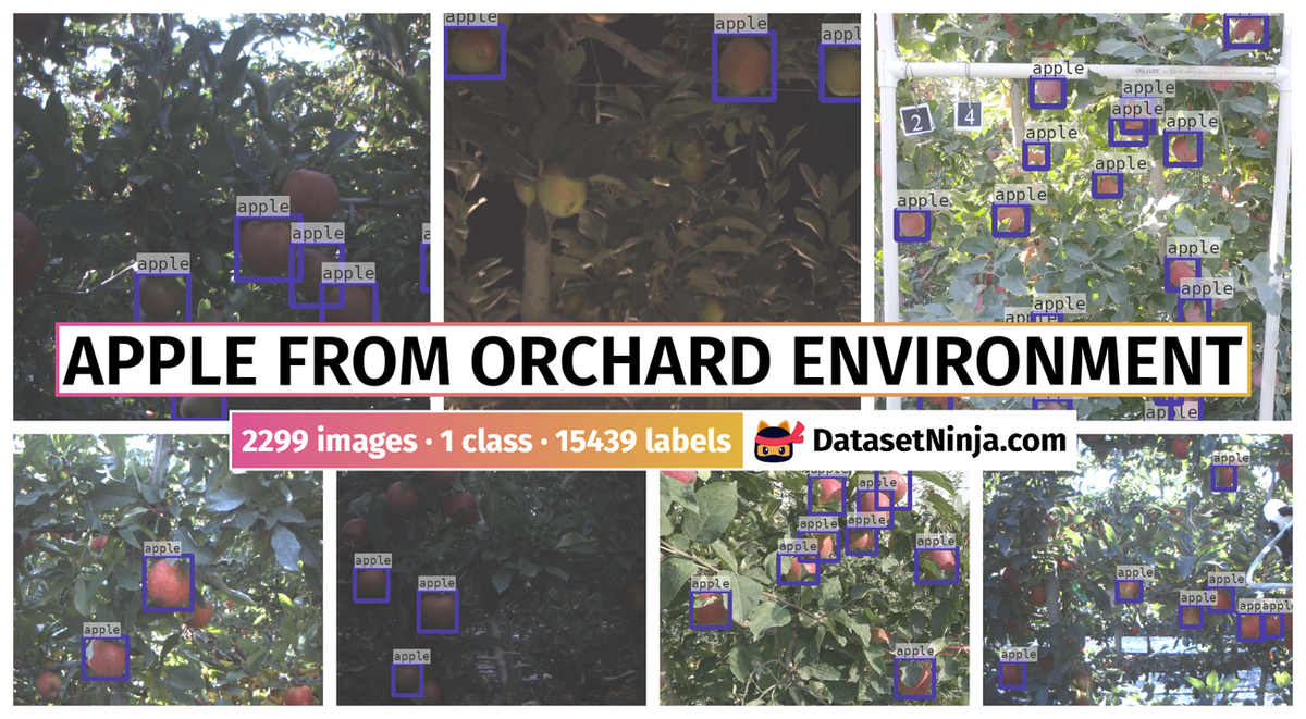 Apple From Orchard Environment Dataset Ninja