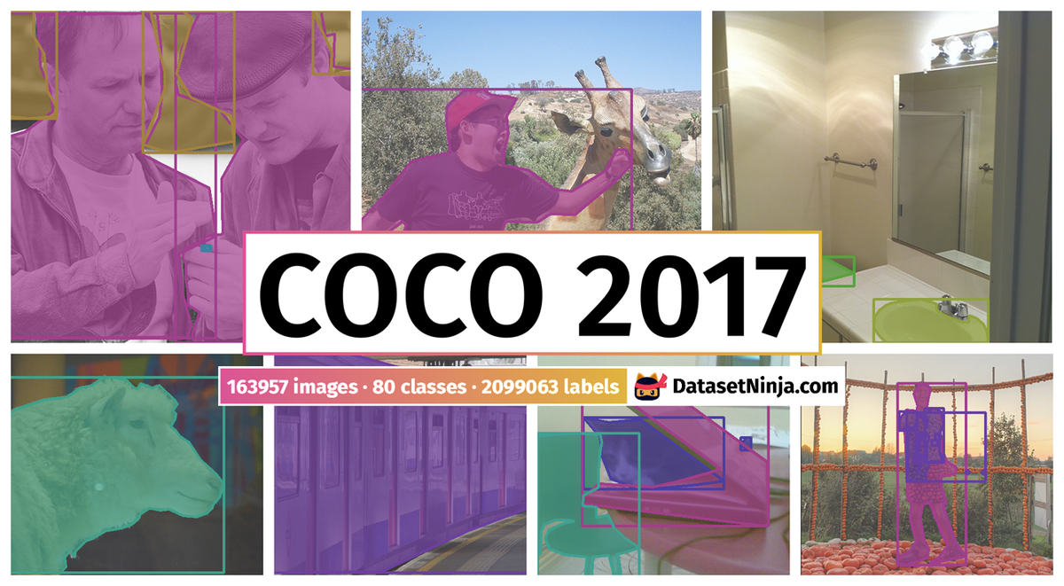 Coco 2017 Dataset Ninja